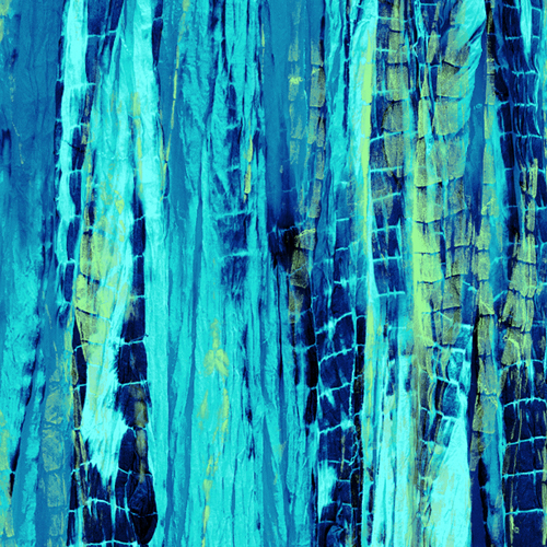 Tie Dye Sophia Baker