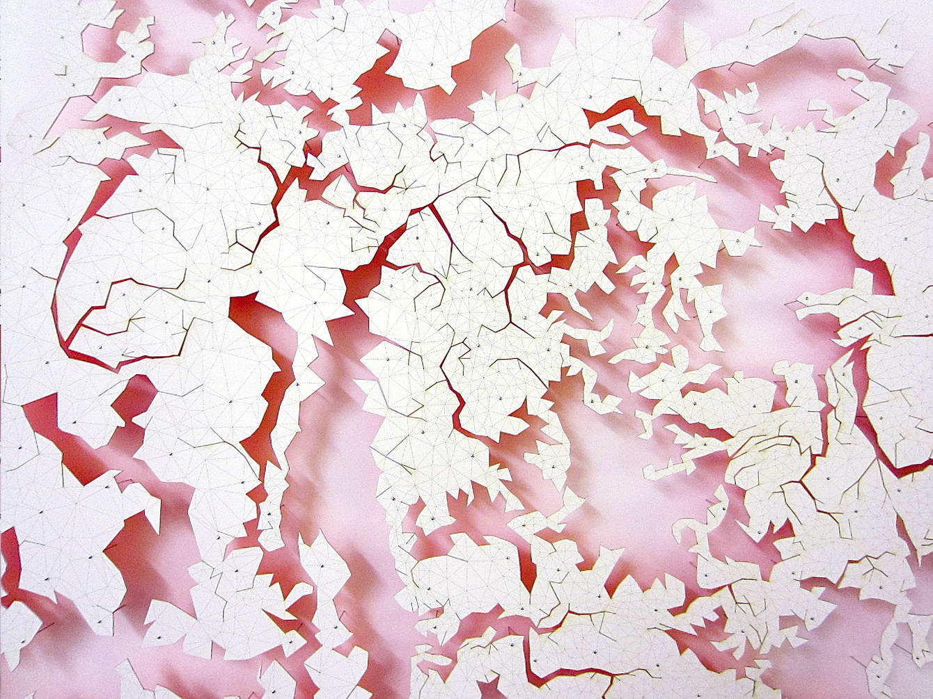 Hide - davidadey.com