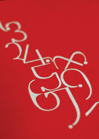 Preeya Mistry I Graphic Design
