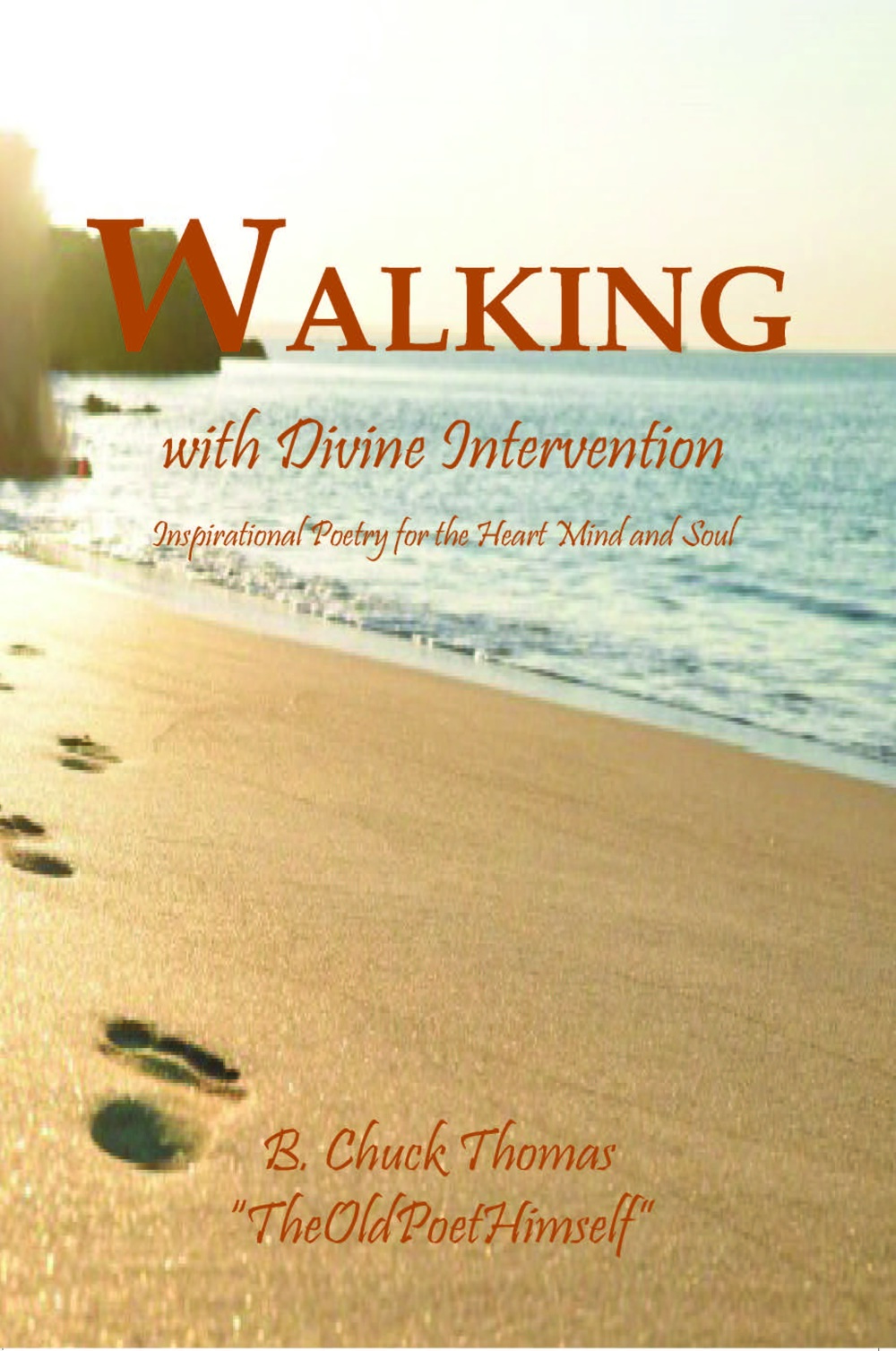 Walking with Divine Intervention (Softcover) - 3G Publishing, Inc.