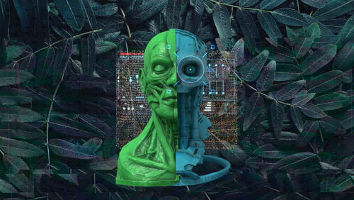 FIT XR - The Gym, WHY? - Chris Boyle