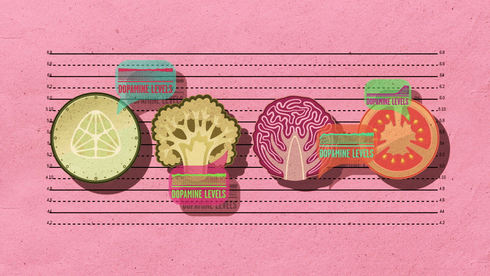 Visa - Glitch - Chris Boyle