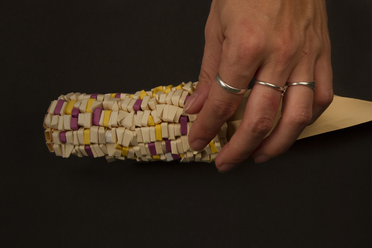 Emergence Magazine | Corn Tastes Better - www.suushessling.com