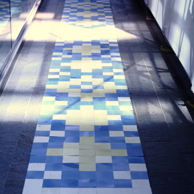 VISIBLE INVISIBLE: SKIN - Sandra Berghianu