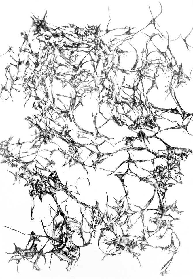 VISIBLE INVISIBLE: SKIN - Sandra Berghianu