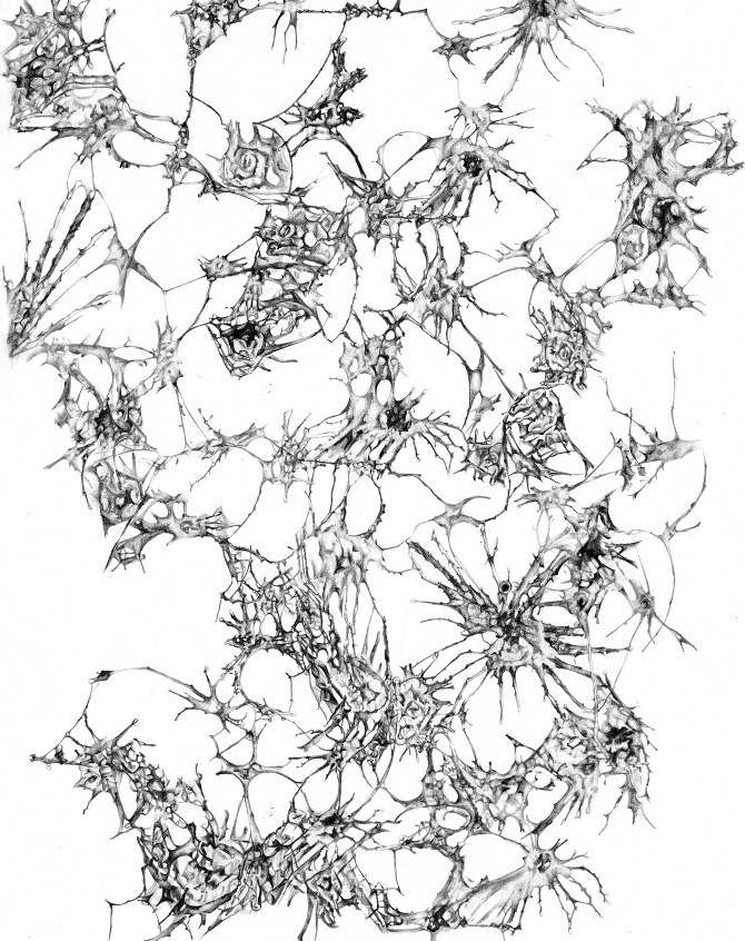 VISIBLE INVISIBLE: SKIN - Sandra Berghianu