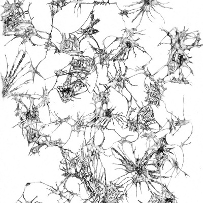 VISIBLE INVISIBLE: SKIN - Sandra Berghianu