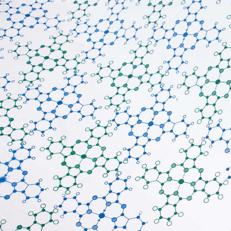 VISIBLE INVISIBLE: SKIN - Sandra Berghianu