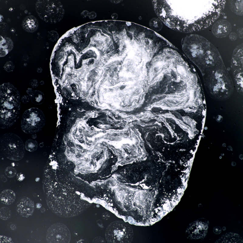 VISIBLE INVISIBLE: SKIN - Sandra Berghianu