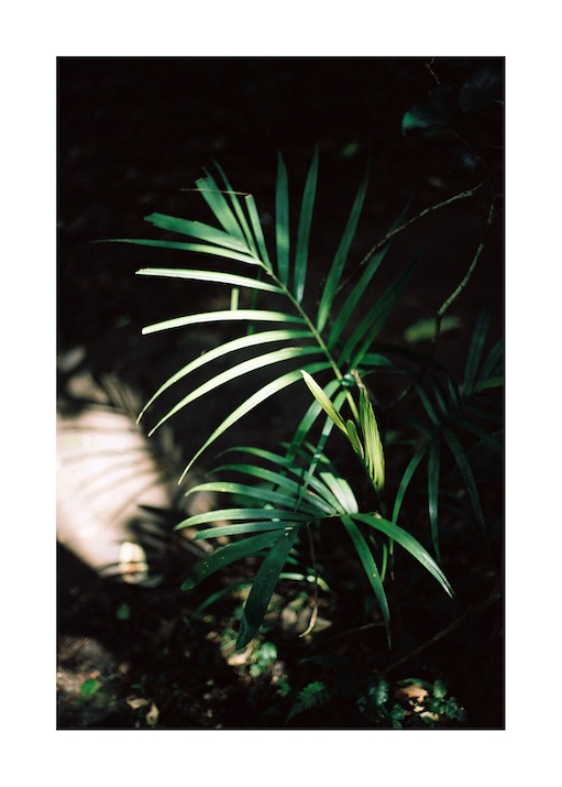 Context - Benjamin Evans