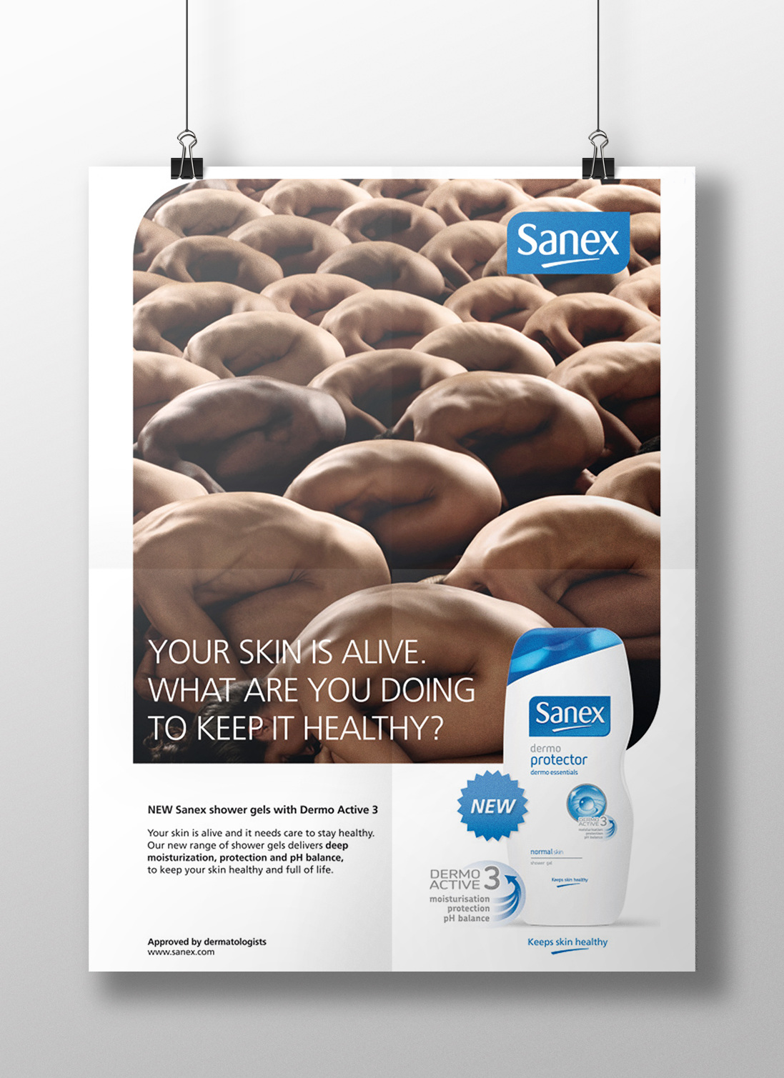 SANEX - Diana Martinez