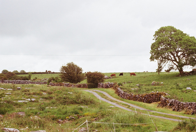 Ballyvaughan, Ireland - Kade Jones