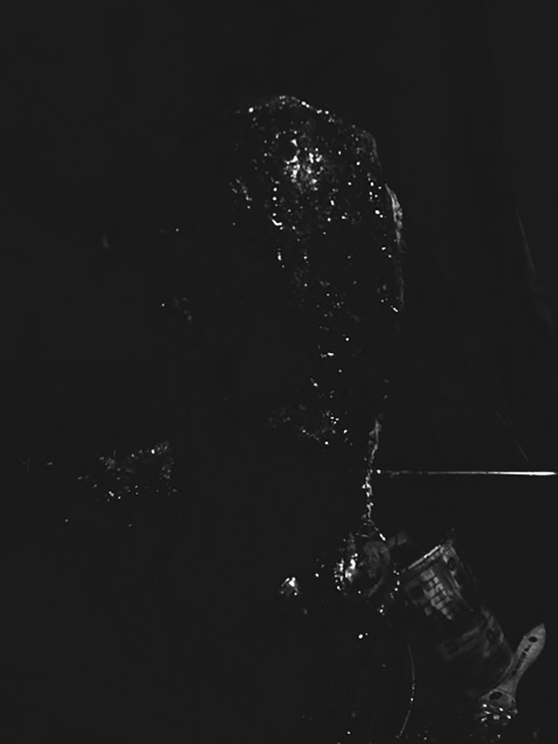 Dustin Edward Arnold— Works in Progress Journal