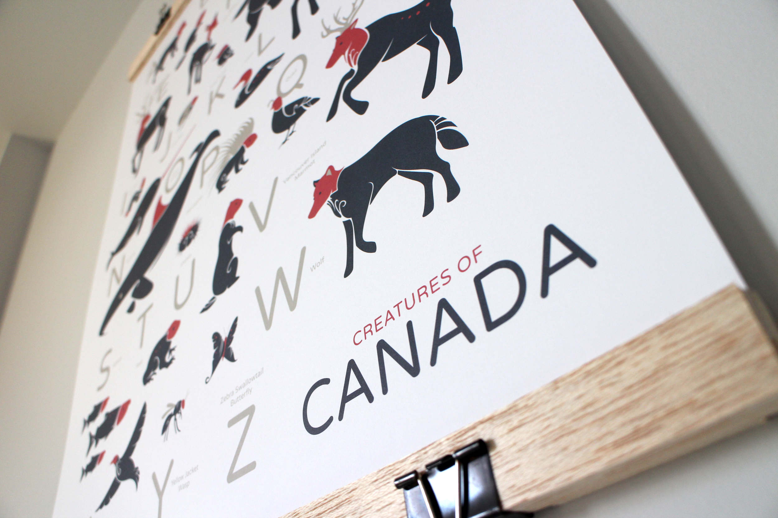 Creatures of Canada Alphabet - Mélanie Kimmett | Designer & Illustrator
