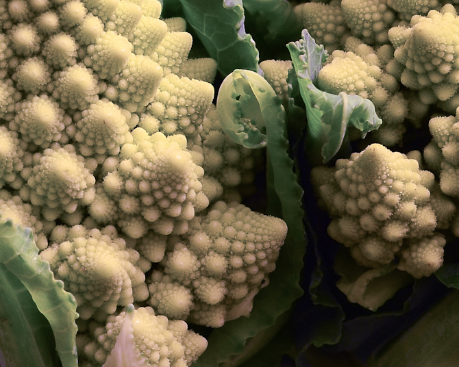 Fractal Cauliflower - Rob Graham's Photography