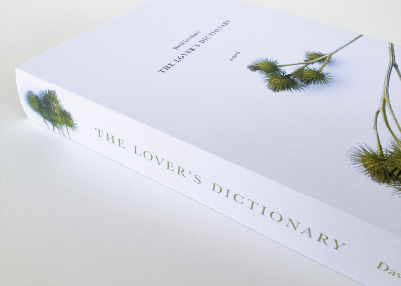 The Lover's Dictionary - Brittney Darfus