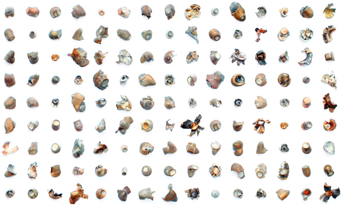 Bullet Rings - Adi Zaffran