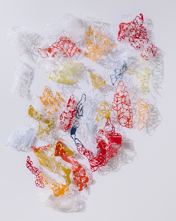 Paper Art - caseyneumann.com