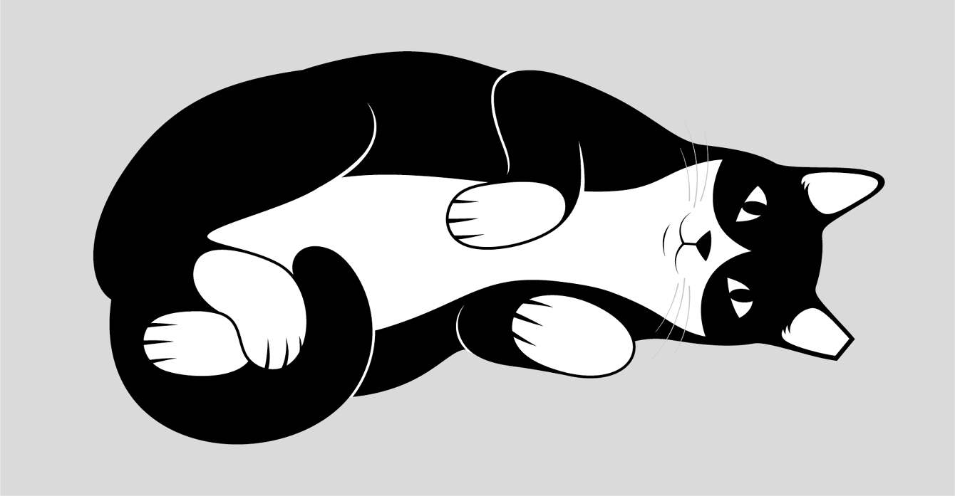 Total Cat Mojo - Osnat Feitelson