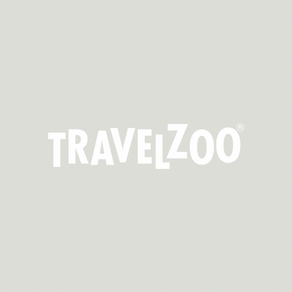 Travelzoo Campaigns - Irasema Design