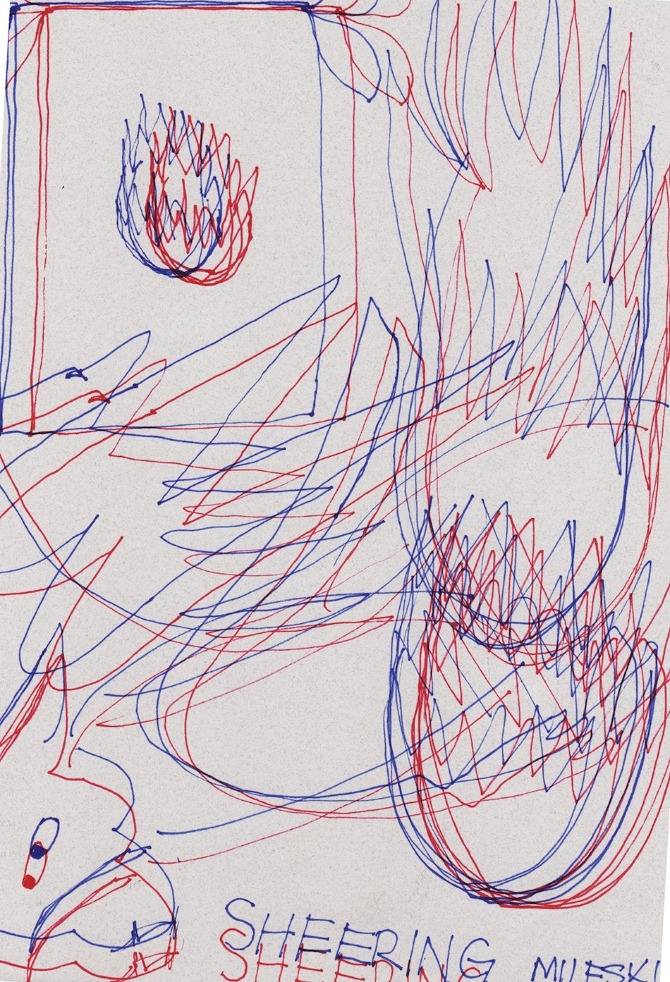 Four drawings in red and blue - STUDIO MILESKI