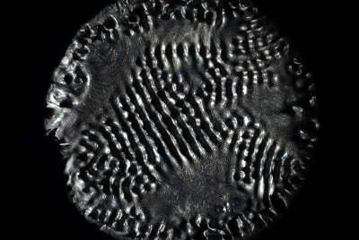 Gamate - gaellecressent.com