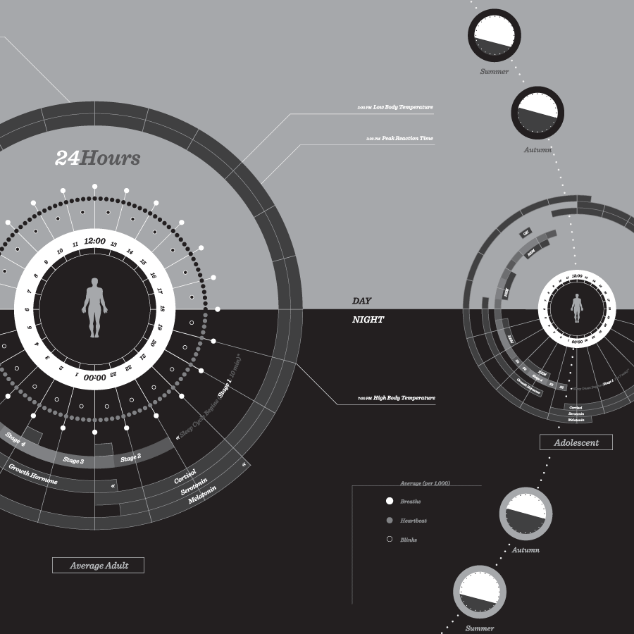 Circadian Rhythm - jess nordquist