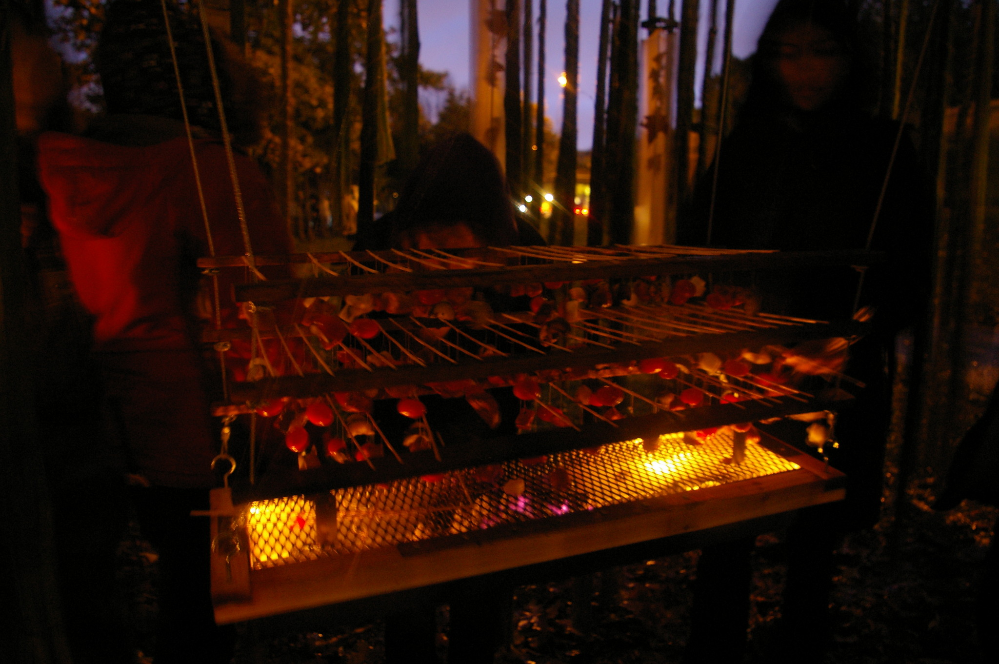 THE HANGING FOREST - Pamela Cottrell Architecture Portfolio