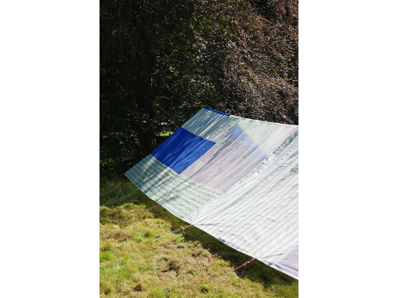 INTRA (depend on me bby) Pt. II (CAMP TRANS) (2023) - Martha Summers