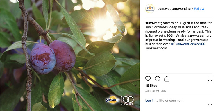 Sunsweet - Mike Hall