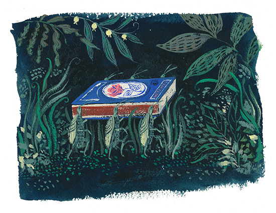 Bug Funeral - Emily Isabella