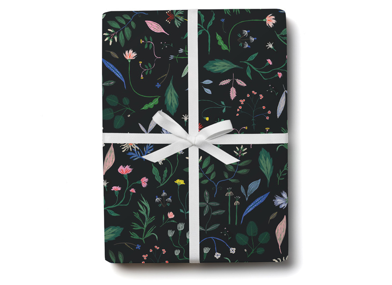 Red Cap Cards Collection - Emily Isabella