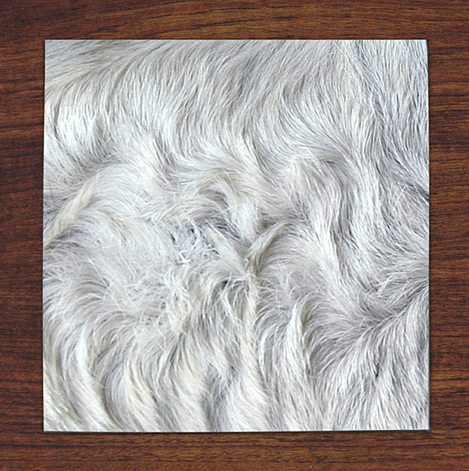 S.A. ANDRÉE - www.johanbarrett.com