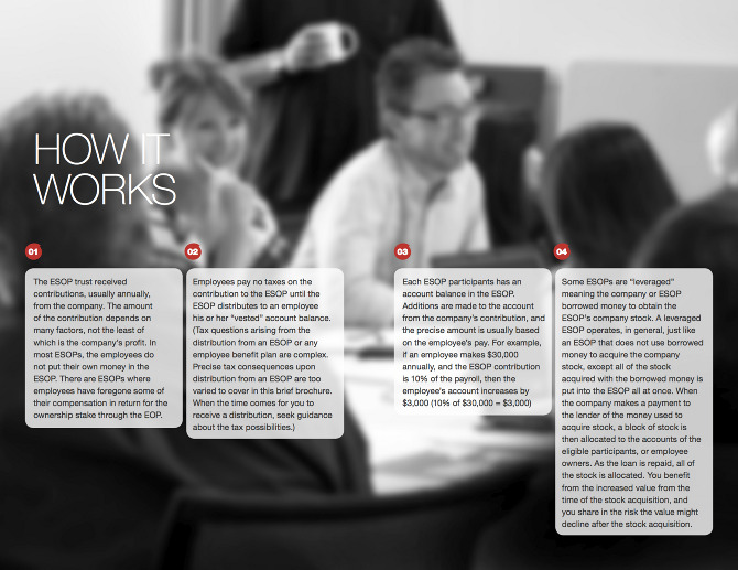 ESOP Branding + Brochure - s-portfolio