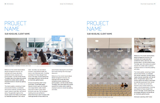 Comprehensive Proposal Template - s-portfolio