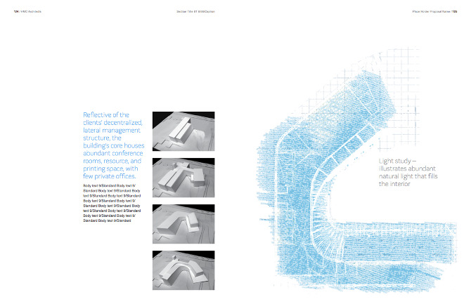 Comprehensive Proposal Template - s-portfolio