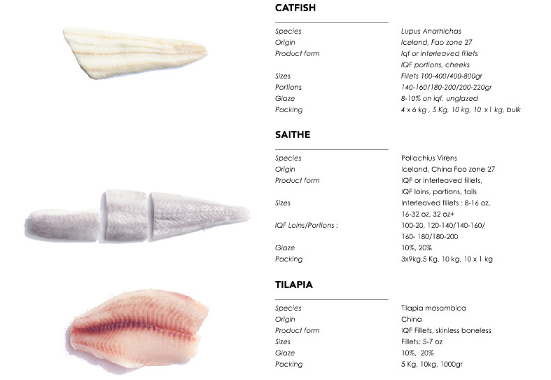 FISH FILLETS - oceanfish