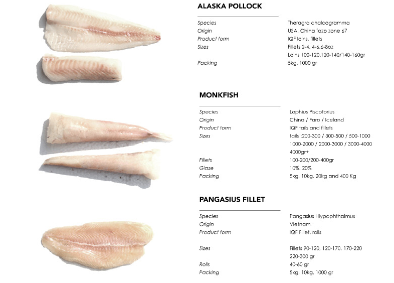 FISH FILLETS - oceanfish