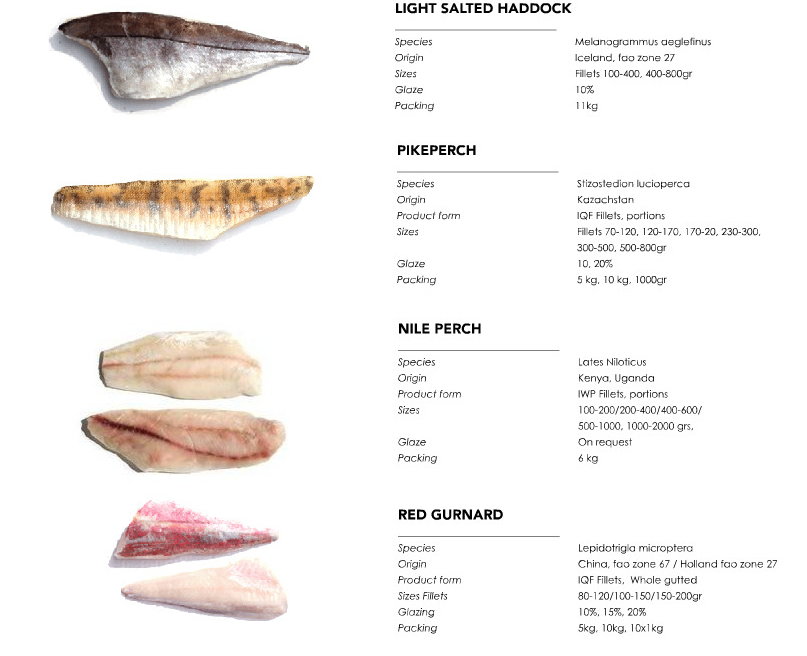 FISH FILLETS - oceanfish