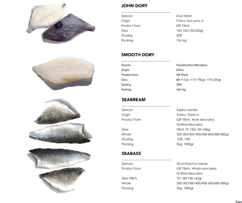 FISH FILLETS - oceanfish