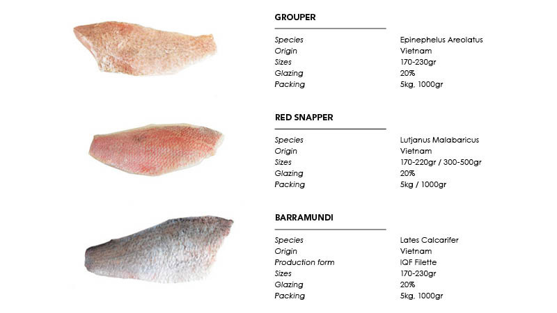 FISH FILLETS - oceanfish