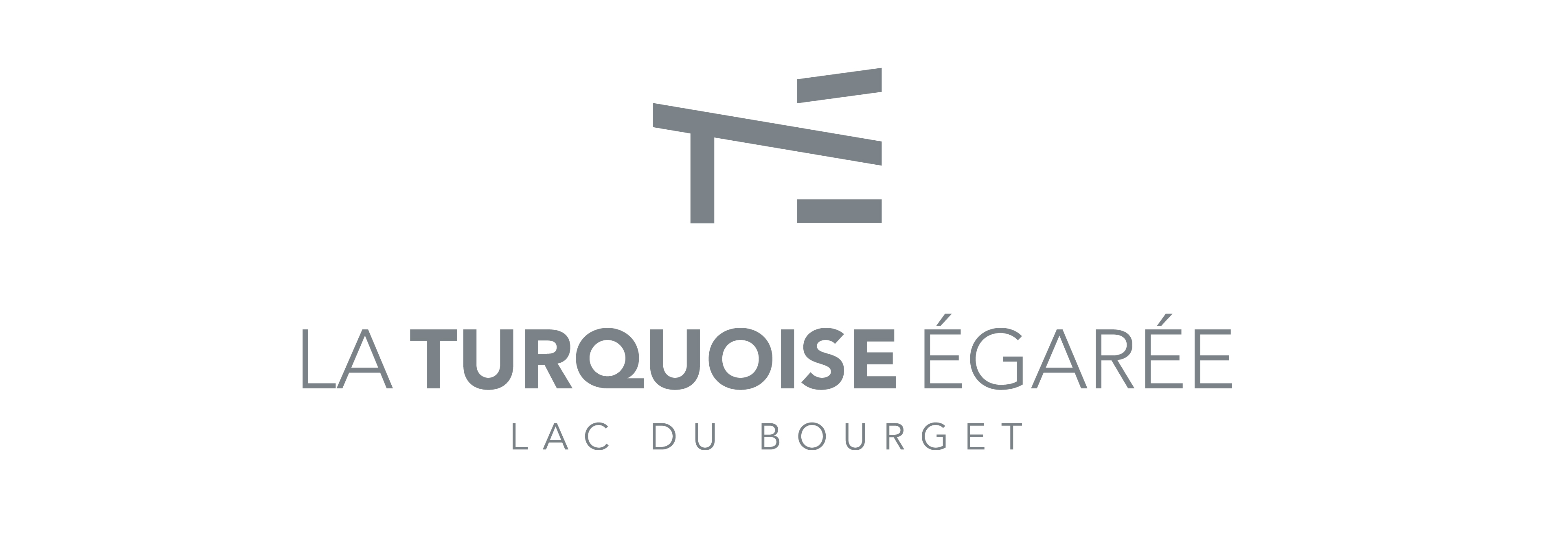 LA TURQUOISE ÉGARÉE - LISE BATSALLE