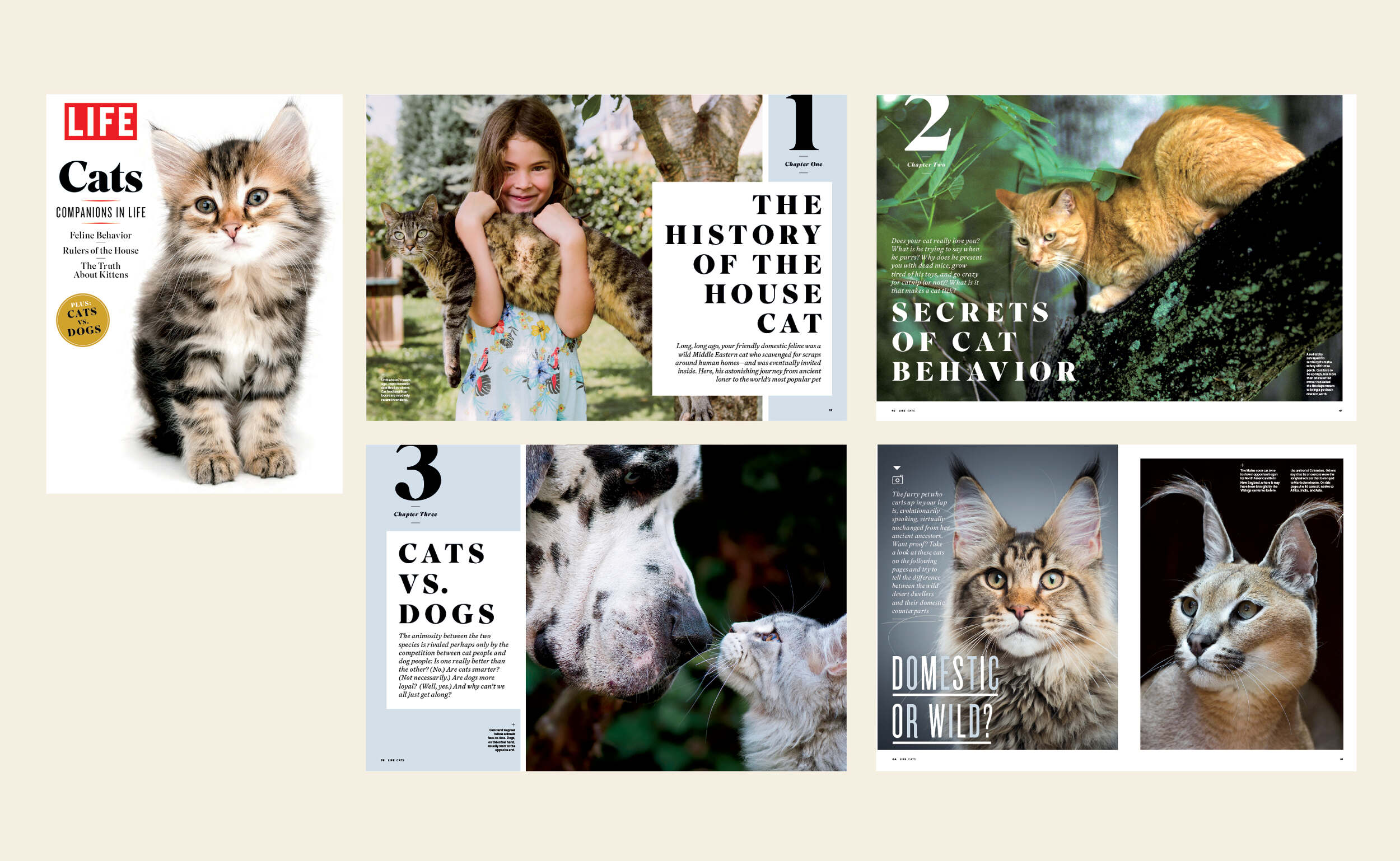 :: Meredith Special Interest Books - patty|alvarez|design