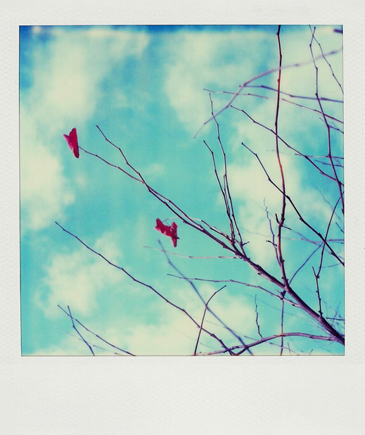 Polas - Brand Photography