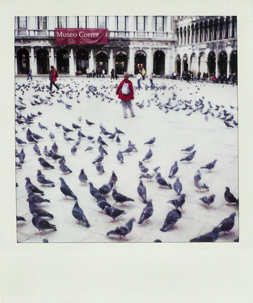 Polas - Brand Photography