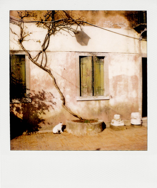 Polas - Brand Photography