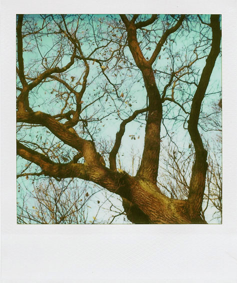 Polas - Brand Photography