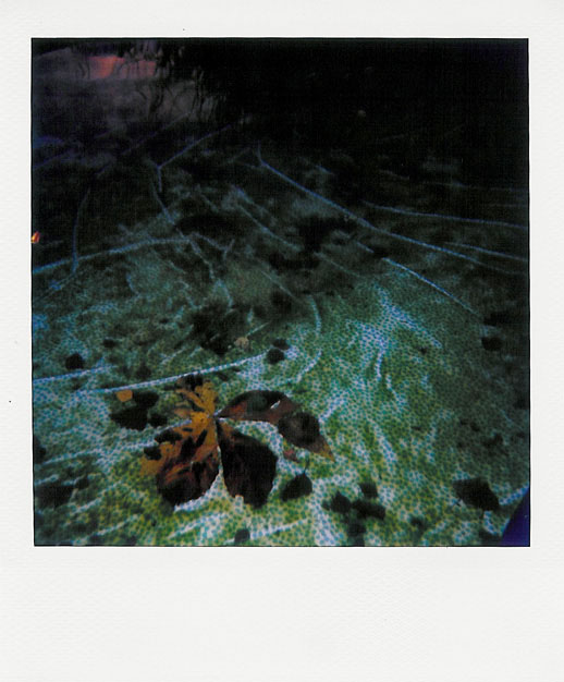 Polas - Brand Photography