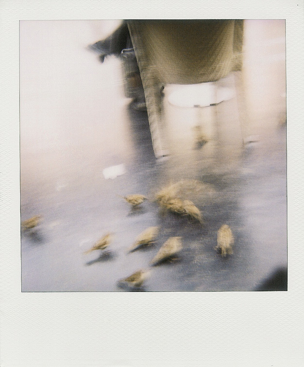 Polas - Brand Photography