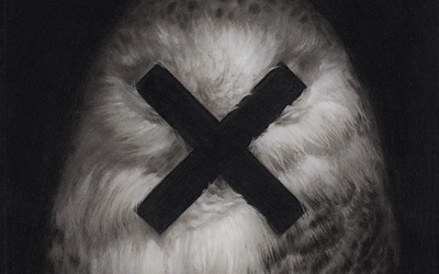 Illustrations by Randy Ortiz